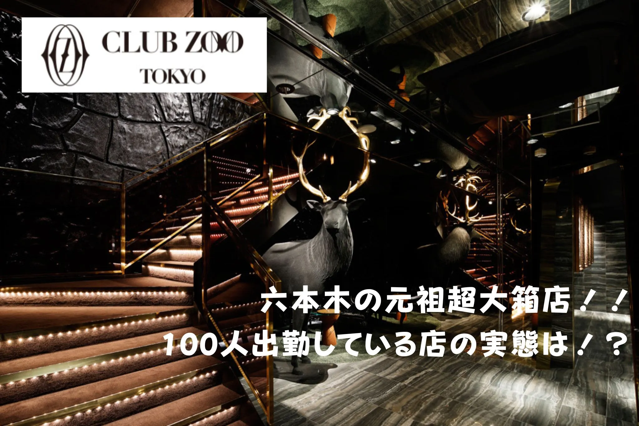 六本木 ZOO TOKYO（ズー トウキョウ）リアルな本音を口コミ★ – ラウンジバイト