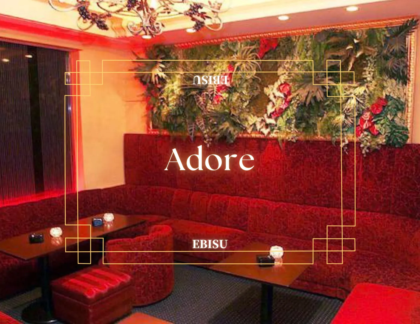 恵比寿アドア(Adore)は、給与形態が選べるラウンジ!?アドアについて徹底解説! – 即日体入ならラウンジバイト